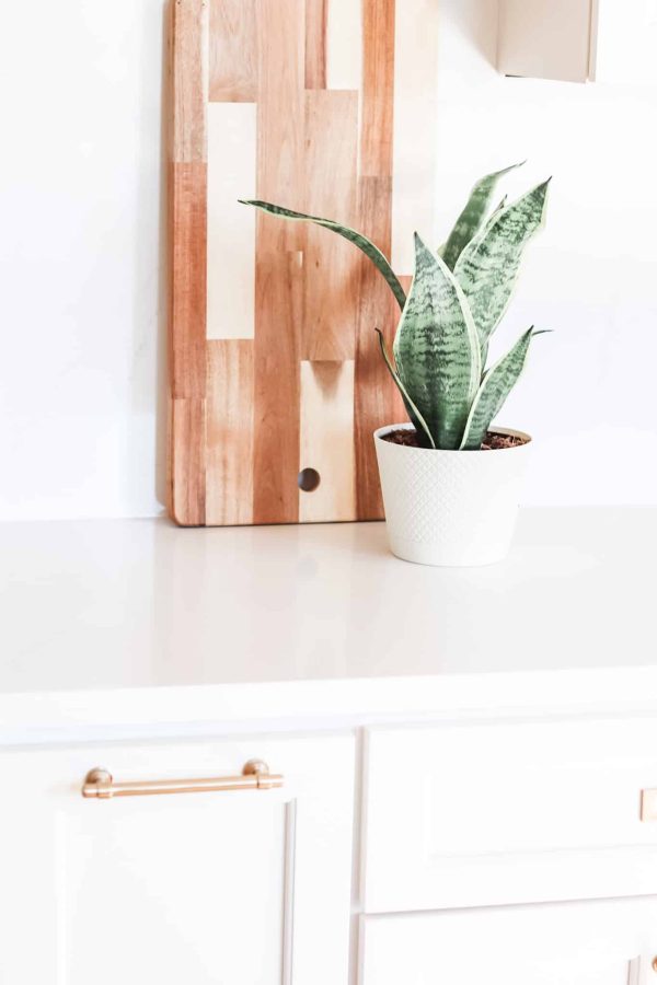 Autograph Kitchens | Let Us Design Your Custom Dream Kitchen